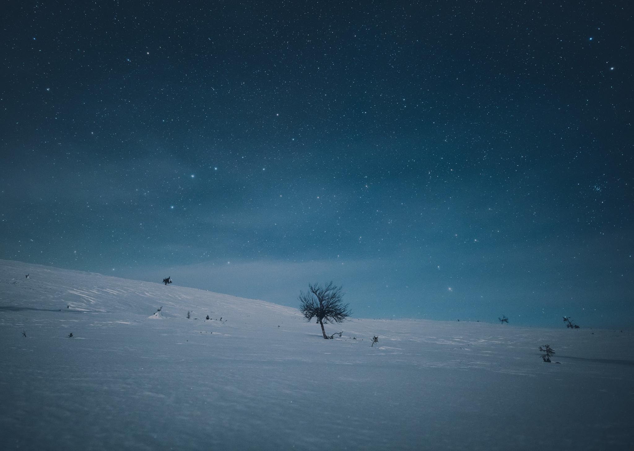 Arctic Blue Beverages – Lexir B2C